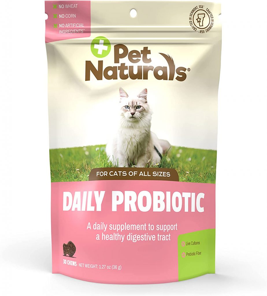 Los Mejores Probióticos para Gatos