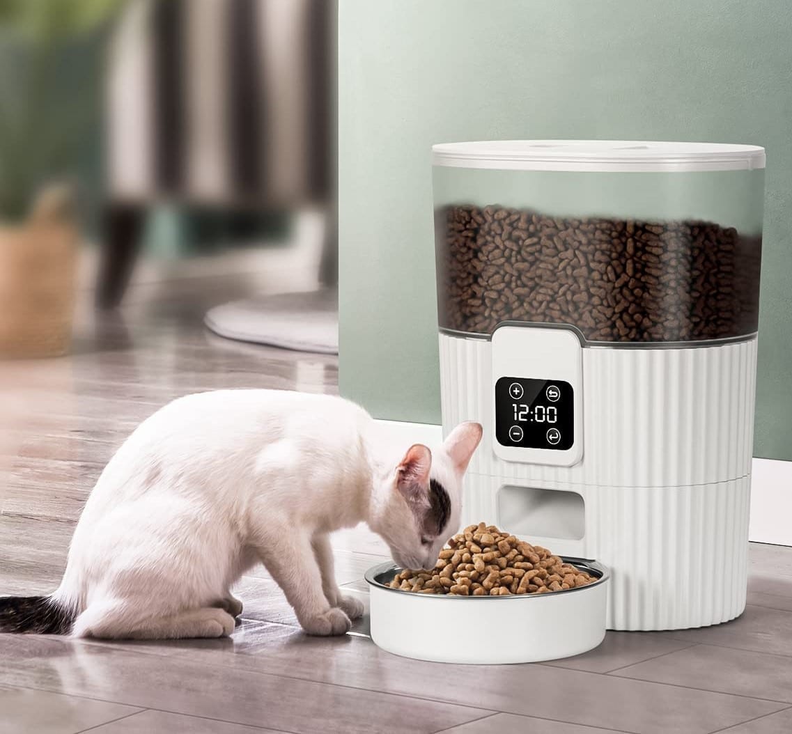 Los Mejores Dispensadores de Comida para Gatos